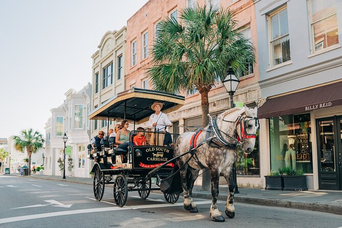 Charleston’s Old South Carriage Historic Horse & Carriage Tour - Final Thoughts: Is It Worth It?