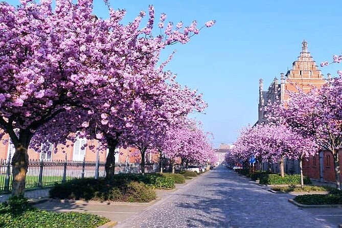 Charlies Private Off The Beaten Path Tour (Ghent) - Discovering Hidden Gems of the City