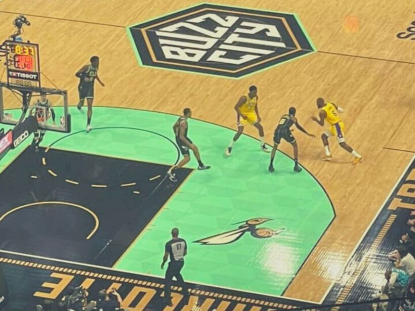 Charlotte: Charlotte Hornets Basketball Game Ticket - Atmosphere and Crowd Experience