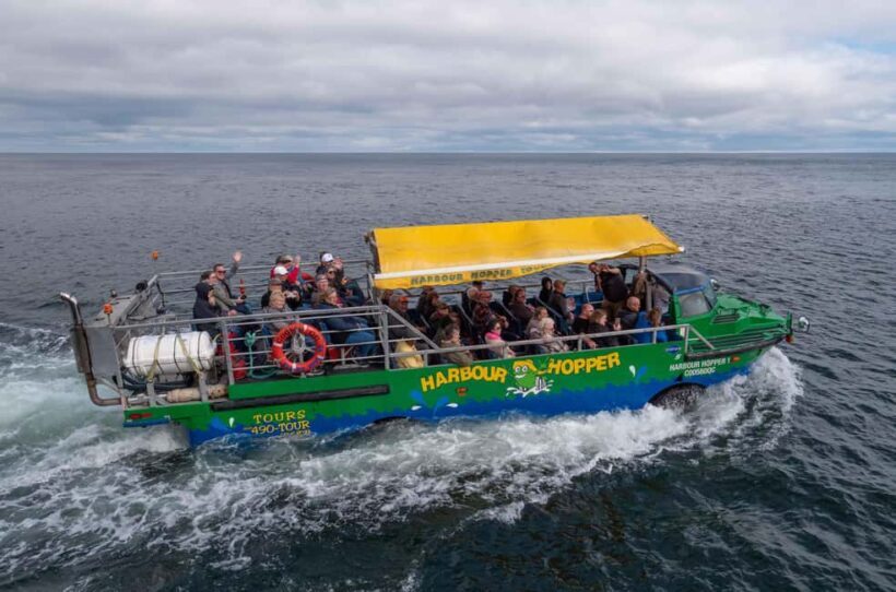Charlottetown: Harbour Hopper Tour - A Closer Look at the Harbour Hopper Experience