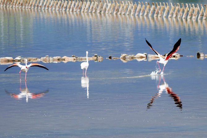 Charming Cagliari Tour - FAQs