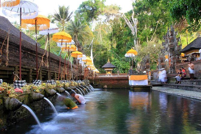 Charter Premier Vehicle with Driver at Bali - 5 Hours Usage - Authentic Experiences and Honest Value