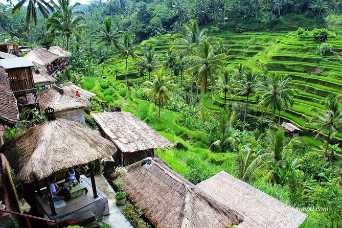 Charter Standard Vehicle with Driver at Bali- 5 Hours Usage - The Experience: What You Can Expect