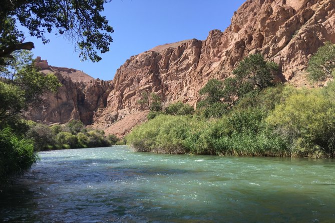 Charyn Canyon Private tour from Almaty, 1 day - Detailed Itinerary Breakdown