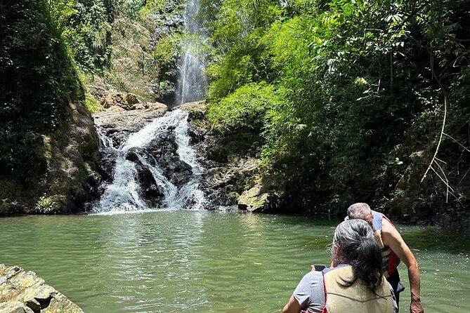 Chase Waterfalls - Discover a hidden 180ft rainforest gem - What the Reviews Say