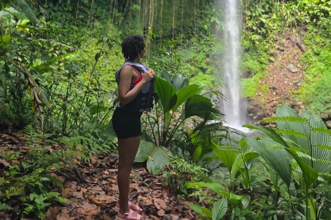 Chasing Waterfalls Dominica - Final Thoughts: Why It’s Worth Considering