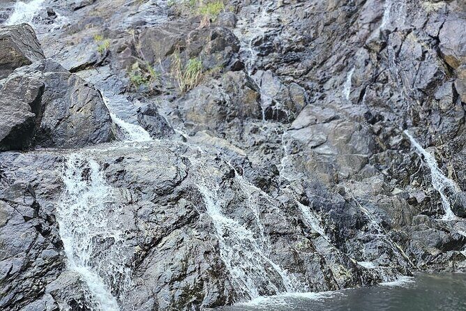 Chasing Waterfalls Experience in Tobago - Key Points