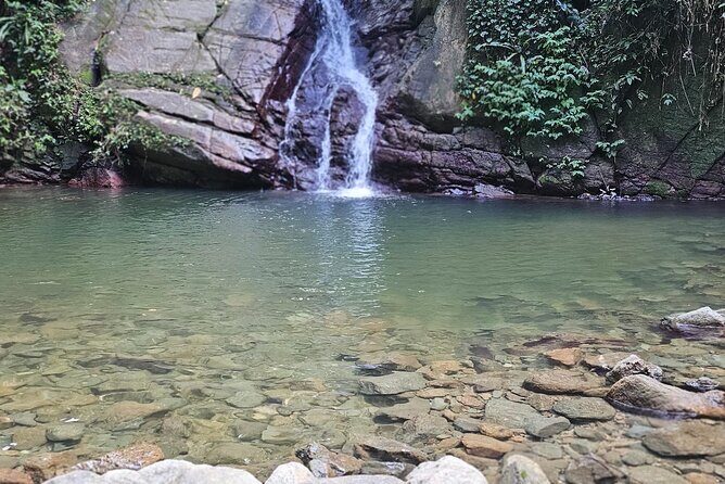 Chasing Waterfalls Experience in Tobago - Why You Might Love This Tour