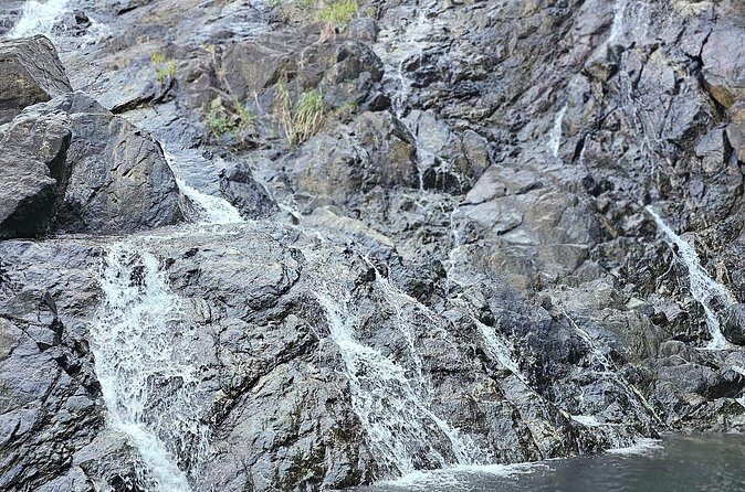 Chasing Waterfalls Experience in Tobago - Frequently Asked Questions