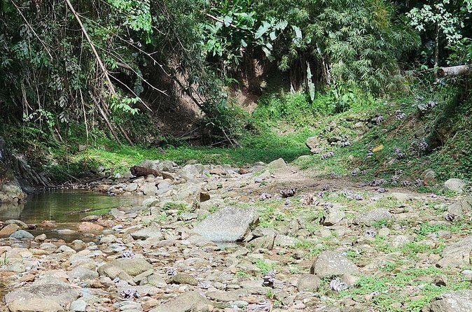 Chasing Waterfalls Experience in Tobago - Final Thoughts
