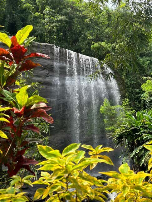 Chasing Waterfalls Grenada: Unveiling Natures Hidden Gems - The Sum Up: Is It Worth It?