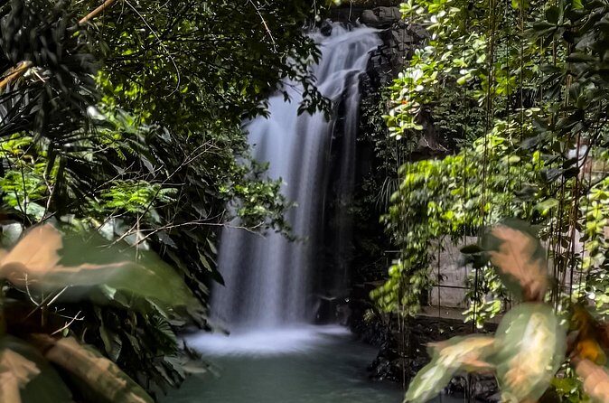 Chasing Waterfalls in Grenada Hike and Adventure Tours - Experience Quality & Guide Expertise