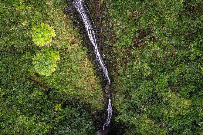 Chasing Waterfalls:Wild Hawaii Rappelling - Experience the Heart of Oahu’s Wilderness