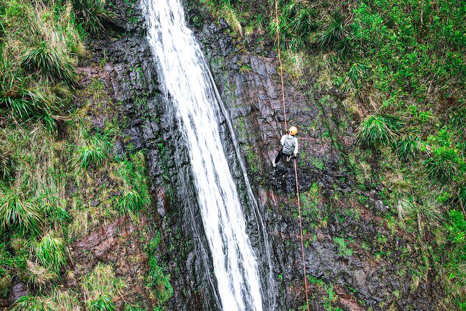 Chasing Waterfalls:Wild Hawaii Rappelling - Authentic Experiences and Why Travelers Love It