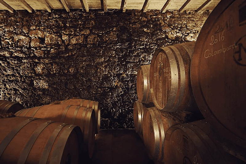 Château Arton Guided Tour and Armagnac Tasting - Who Will Enjoy This Tour?