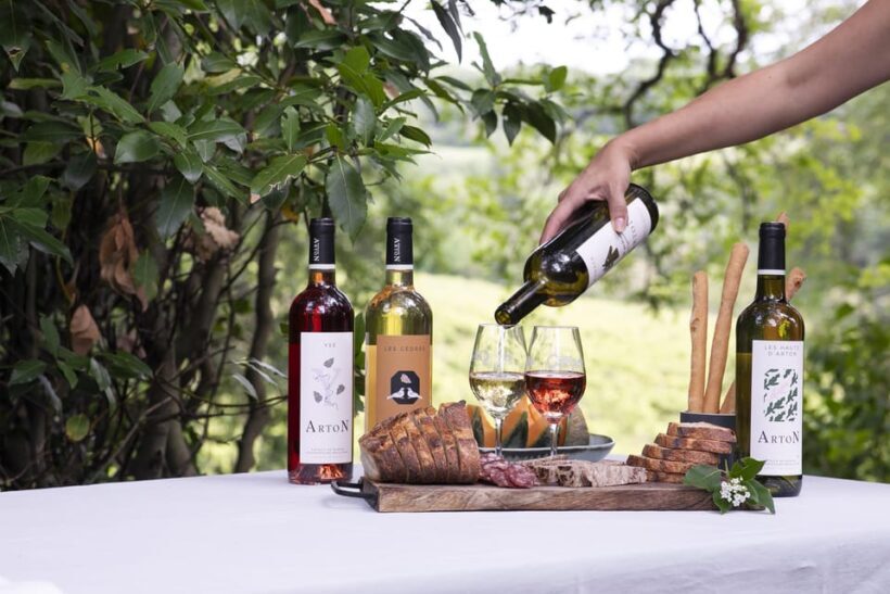 Château Arton Vineyard Tour and Tasting - Key Points