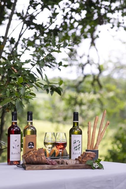 Château Arton Vineyard Tour and Tasting - Exploring Château Arton: The Setting and the Spirit