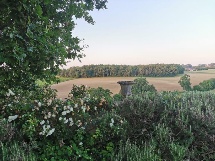 Château Arton Vineyard Tour and Tasting - Inside the Armagnac Cellar: Tradition and Innovation