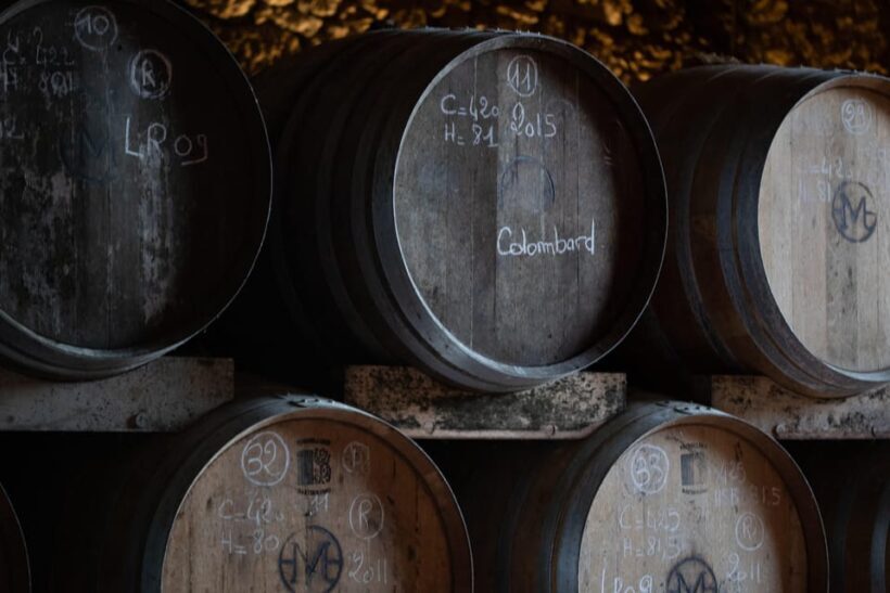 Château Arton Vineyard Tour and Tasting - Practical Aspects: How to Make the Most of Your Visit