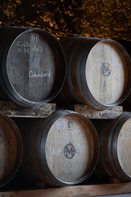 Château Arton Vineyard Tour and Tasting - Who Will Enjoy This Tour?