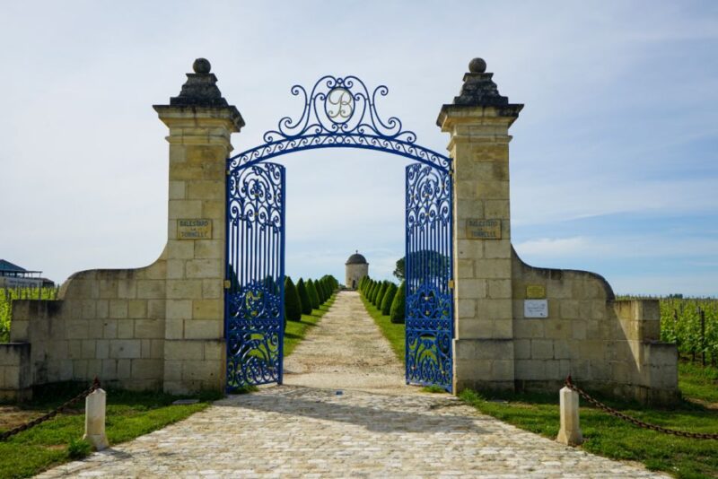 Château Balestard La Tonnelle: the Origins Tour - Panoramic Terrace and Views