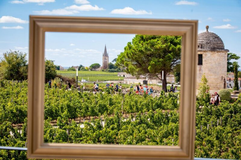 Château Balestard La Tonnelle: the Origins Tour - Wine Tasting Experience