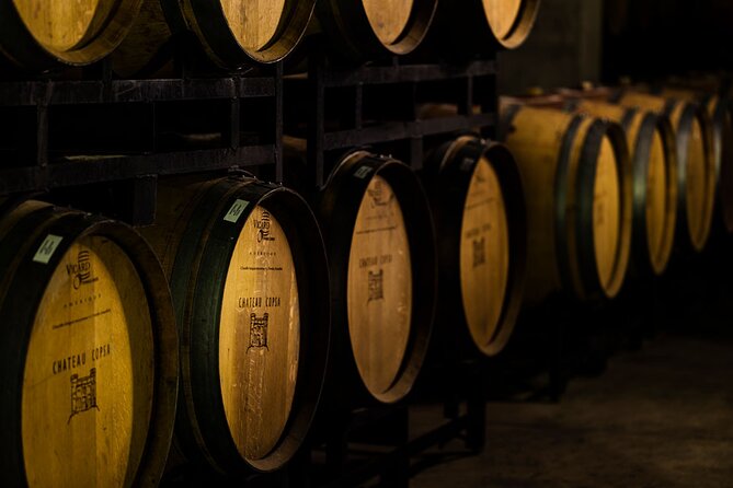 Chateau Copsa Wine Tasting Tours & Activities - Who Will Love This Experience?