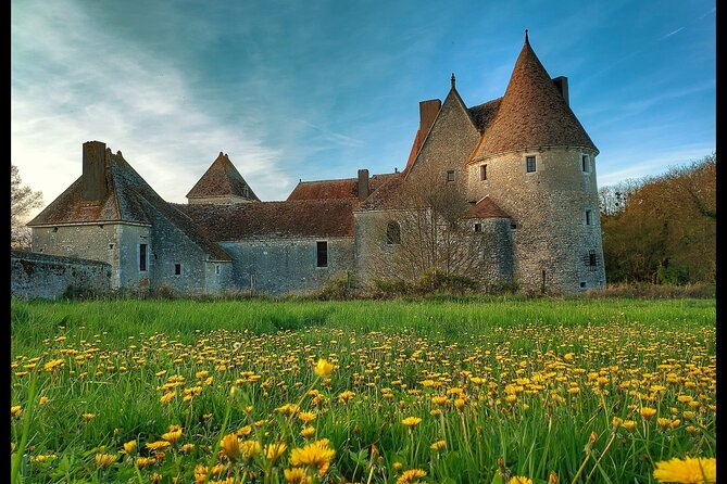 Château de Buranlure 1000 Years of History Heritage and Oenology - Summary: Is This Tour Right for You?
