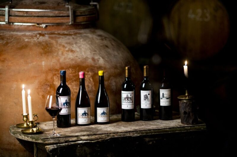 Château De Luc: Unique Visit and Wine Tasting - Exploring the 14th-Century Underground Cellar