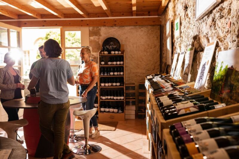 Château De Luc: Unique Visit and Wine Tasting - Tasting Organic Wines From IGP Pays Doc, AOC Languedoc, Corbières, and Minervois