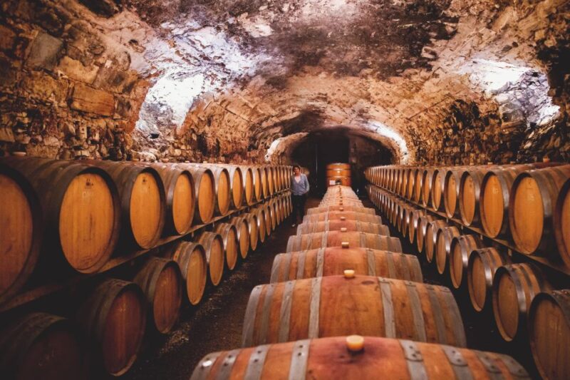 Château De Luc: Unique Visit and Wine Tasting - Visiting the Tasting Cellar in an Old Stable