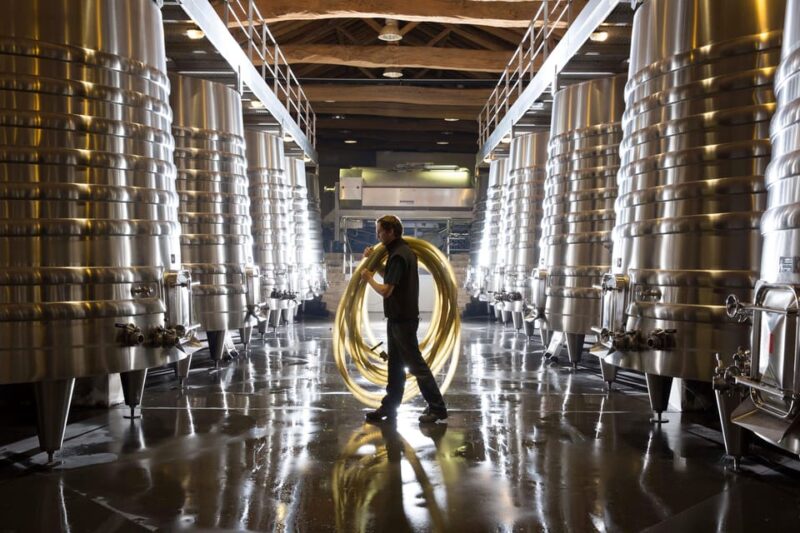 Château Olivier: One Hour Vineyard Tour with Wine Tasting - Château Olivier: One Hour Vineyard Tour with Wine Tasting — A Practical Look at a Bordeaux Gem