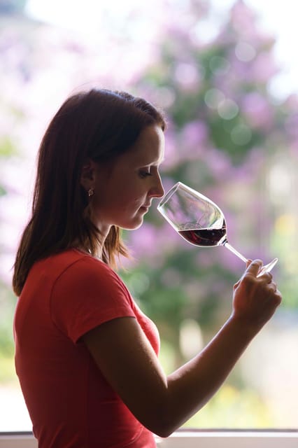 Château Olivier: One Hour Vineyard Tour with Wine Tasting - Who Is This Tour Best For?