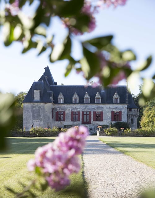 Château Olivier: One Hour Vineyard Tour with Wine Tasting - Final Thoughts