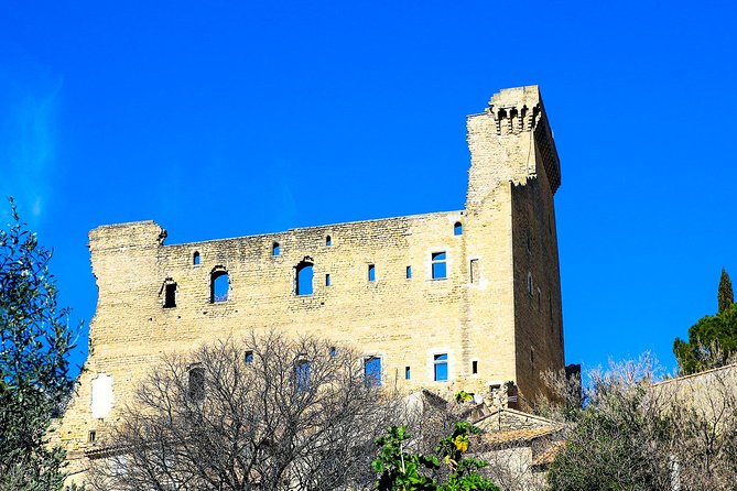 Châteauneuf Du Pape Intensive Vineyard & Fine Wine Experience - Exclusive Winery Visits and Tastings