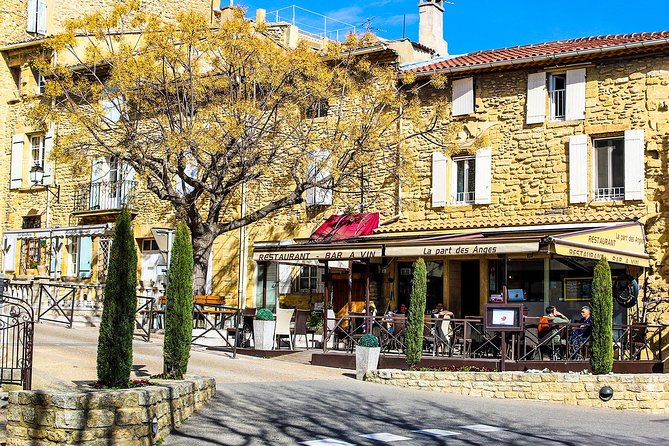 Châteauneuf Du Pape Intensive Vineyard & Fine Wine Experience - Traveler Testimonials and Booking Information