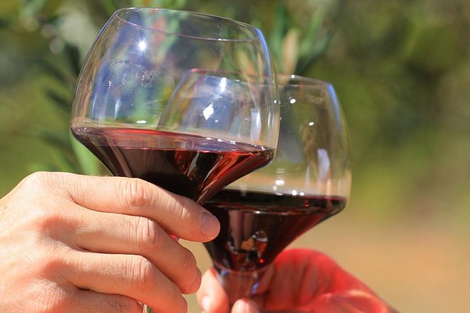Châteauneuf du Pape Wine Day Tasting Tour including Lunch from Avignon - What Real Travelers Are Saying