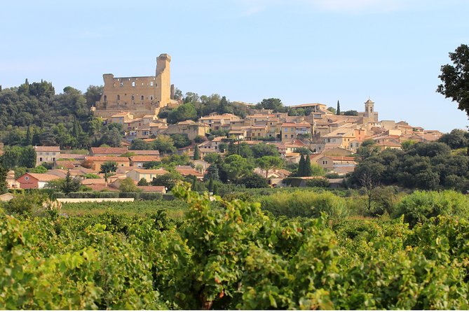 Châteauneuf du Pape Wine Day Tasting Tour including Lunch from Avignon - Who Should Consider This Tour?
