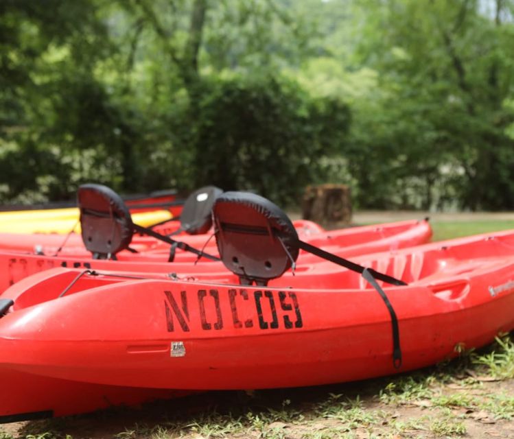 Chattahoochee Roswell: Single Kayak Rental - What Real Users Say