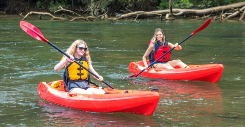Chattahoochee Roswell: Single Kayak Rental - Who Will Love This Experience?