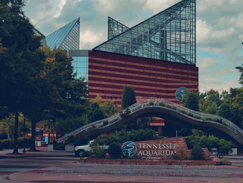 Chattanooga: The Flash City Sightseeing Tour by Trolley - Reviews in a Nutshell