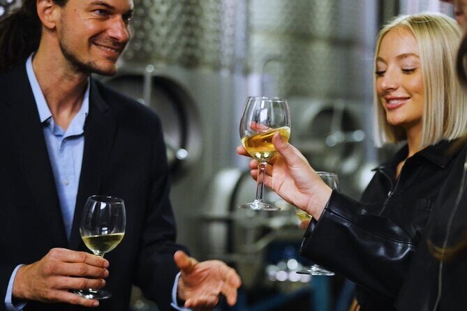 Chattanooga Wine Tasting with Art Sightseeing Tour - Who Will Love This Tour?