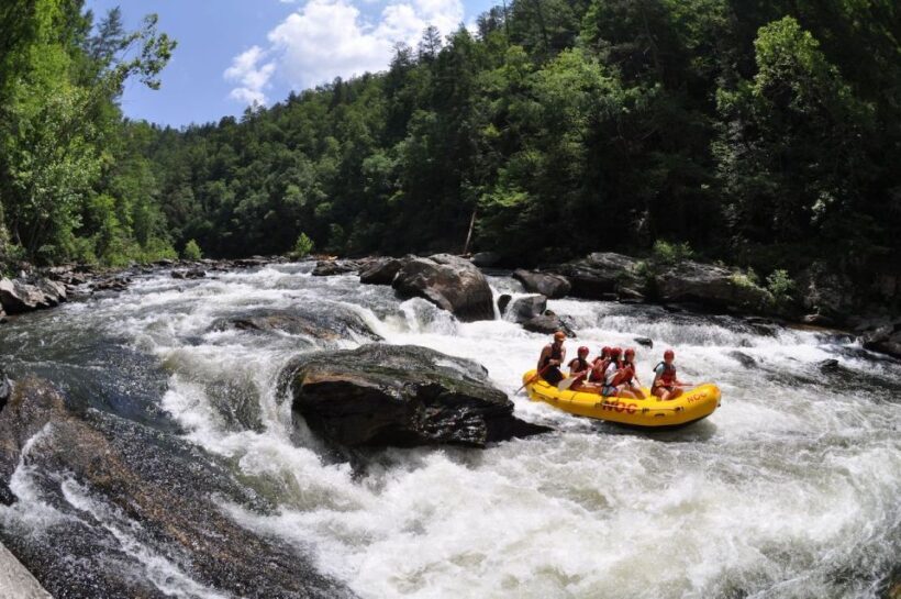 Chattooga: Chattooga River Rafting with Lunch - Who Would Enjoy This Experience?