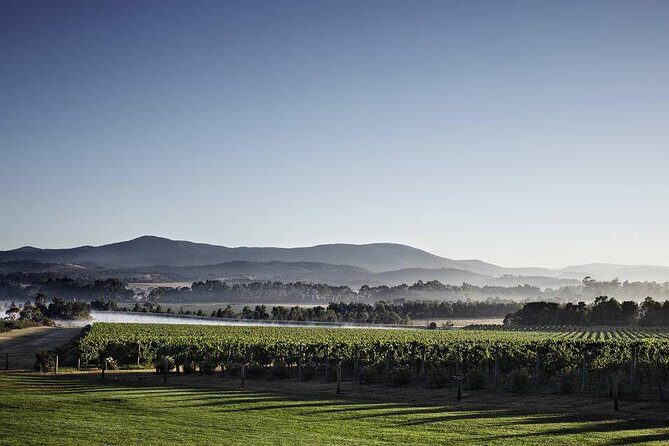 Chauffeured Cheese and Wine Tour with 3 Course Lunch - For 2 - Yarra Glen and Beyond