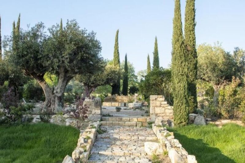 Chaumont-sur-Loire: Domaine of Chaumont Skip-the-Line Ticket - Visitor Information and Reviews