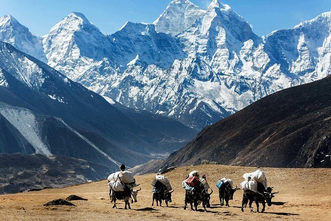 Cheapest Everest Base Camp Trek from Kathmandu - Final Thoughts: Who Will Love This Trek?