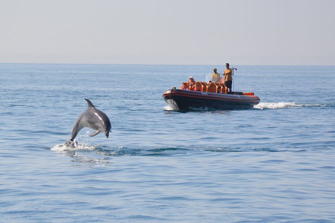 Cheapest Family Friendly Boat Trip From Vilamoura Algarve - Who Will Love This Trip?