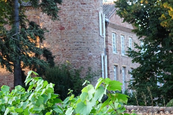 Cheese and Wine Accord Tour at Château de Champ-Renard - Frequently Asked Questions