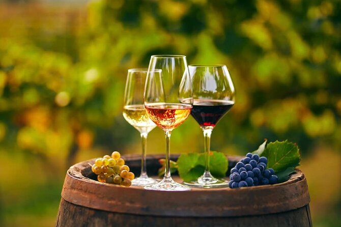 Cheese and Wine Tasting Tour From Chania - Who Will Enjoy This Tour?