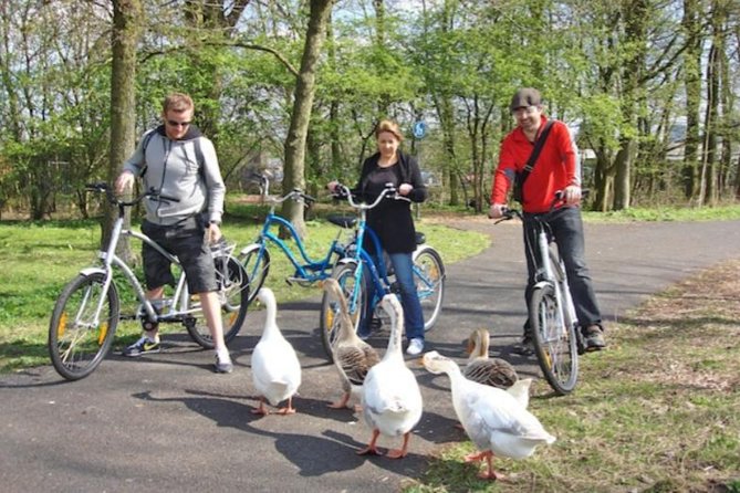 Cheese, Canals & Windmill Countryside E-Bike Tour Amsterdam - Frequently Asked Questions